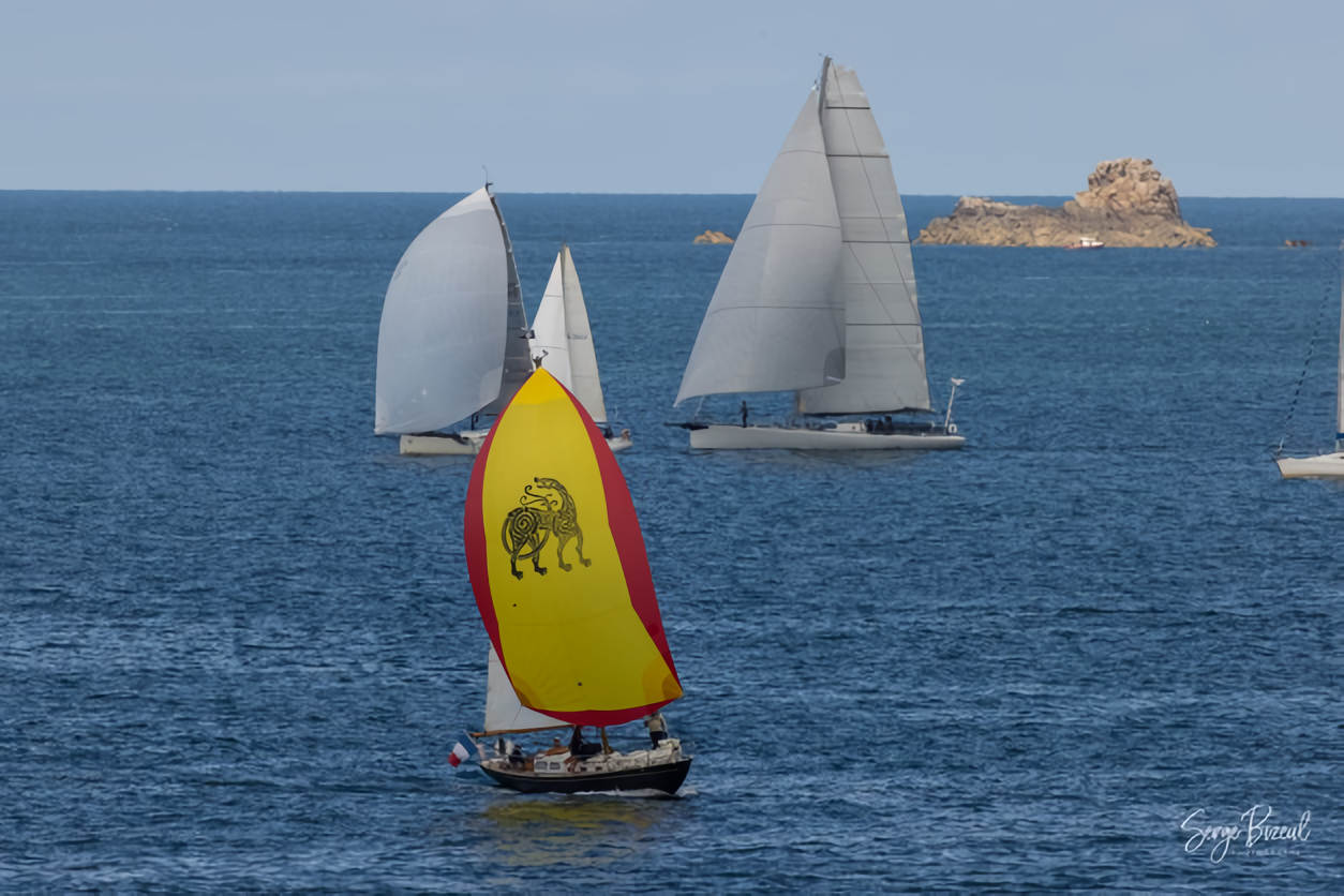 Le Loup Rouge - Décembre 2020 - AMERAMI
