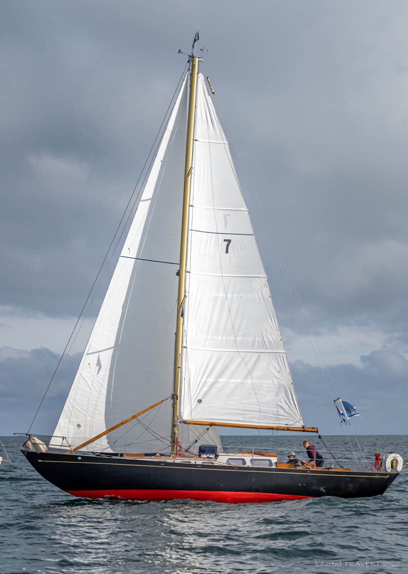 Le Loup Rouge - Décembre 2020 - AMERAMI